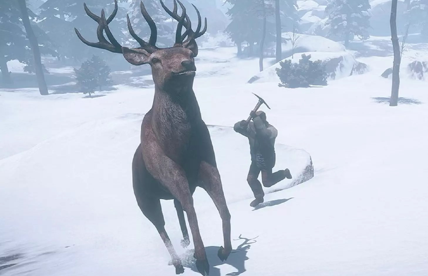 Garry Newman és az unatkozó Rust-játékosok - iPon.hu