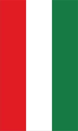 Flag desktop Hungarian crest without 15x25 cm - iPoncomp.com