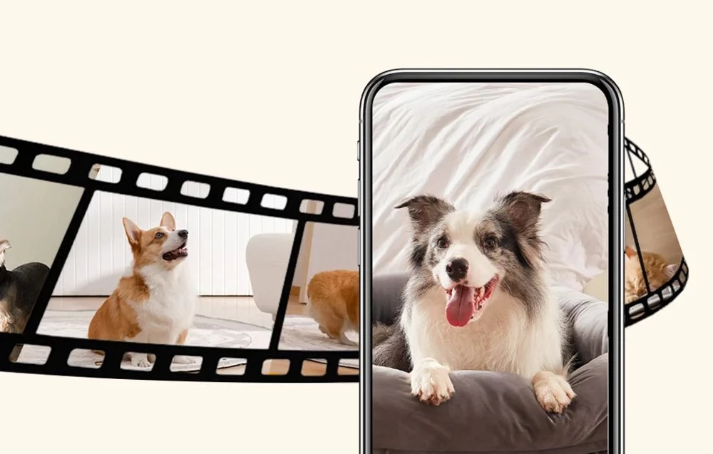 ARENTI Petcam 3MP ip camera 2.4mm and jutalomfalat feed - iPoncomp.com